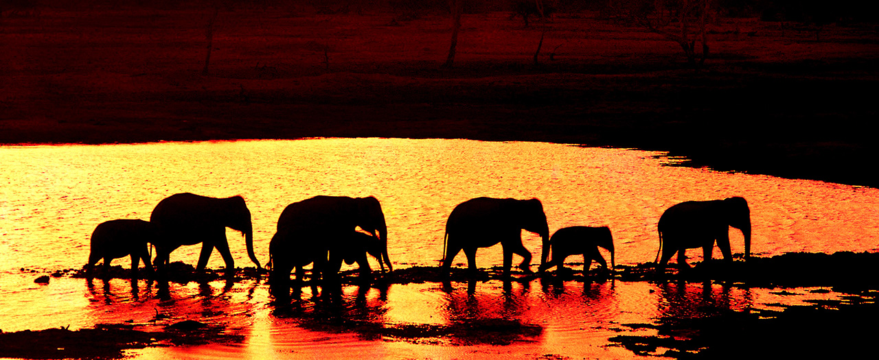 otara-foundation-activities | Otarafoundation